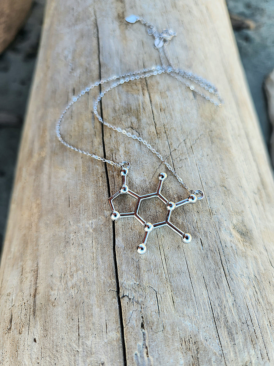 Sterling Silver Caffeine Necklace – Silver Science